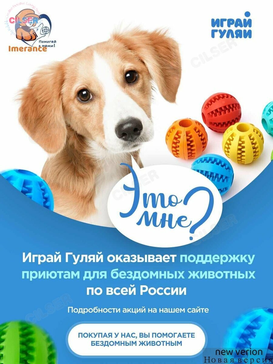 Жевательная игрушка для собак, мяч "Чистые Клыки", "Играй Гуляй", цвет: мятный, диаметр 5 смlmA