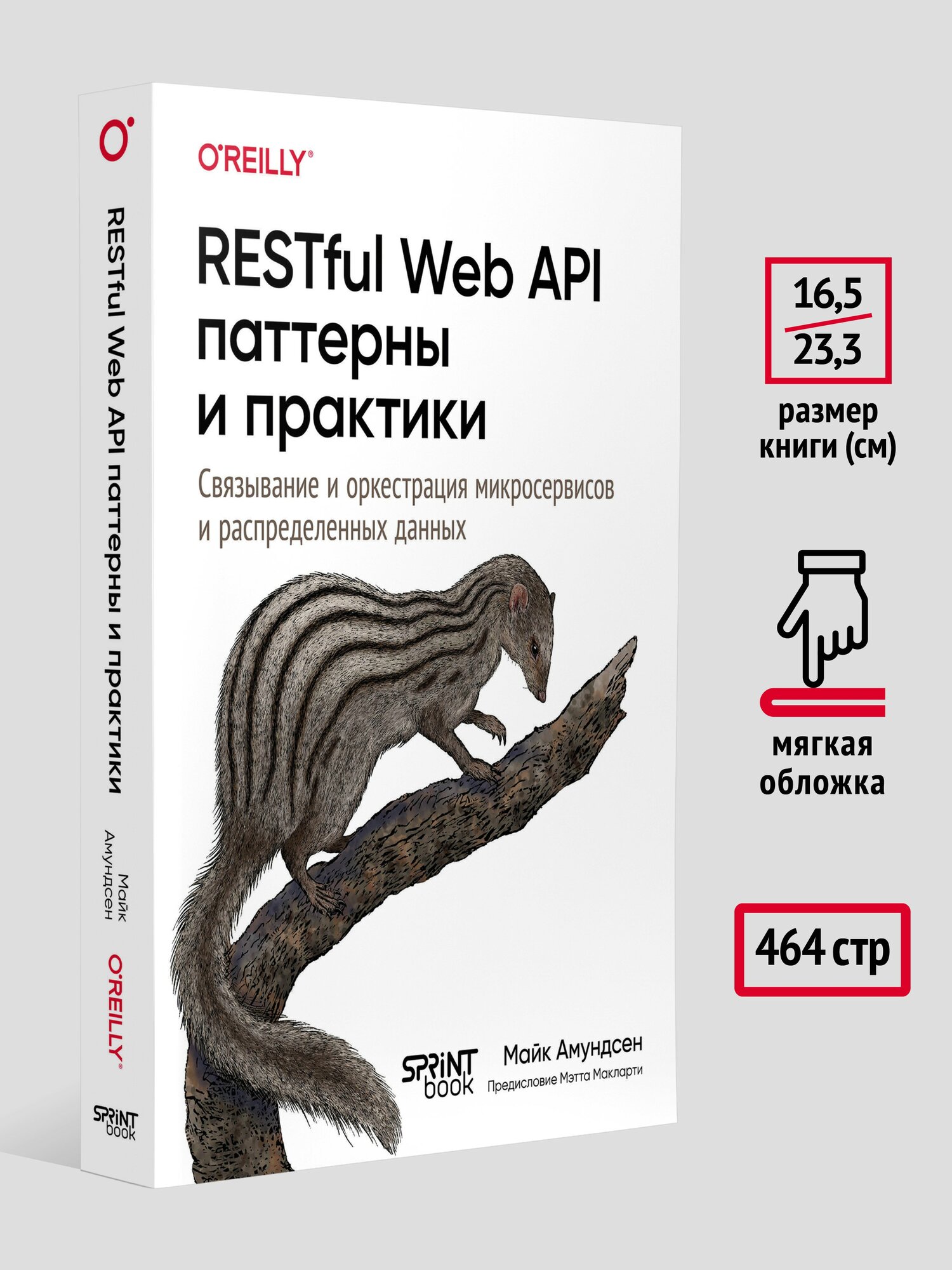 RESTful Web API паттерны и практики / книги по разработке и программированию — фото 1