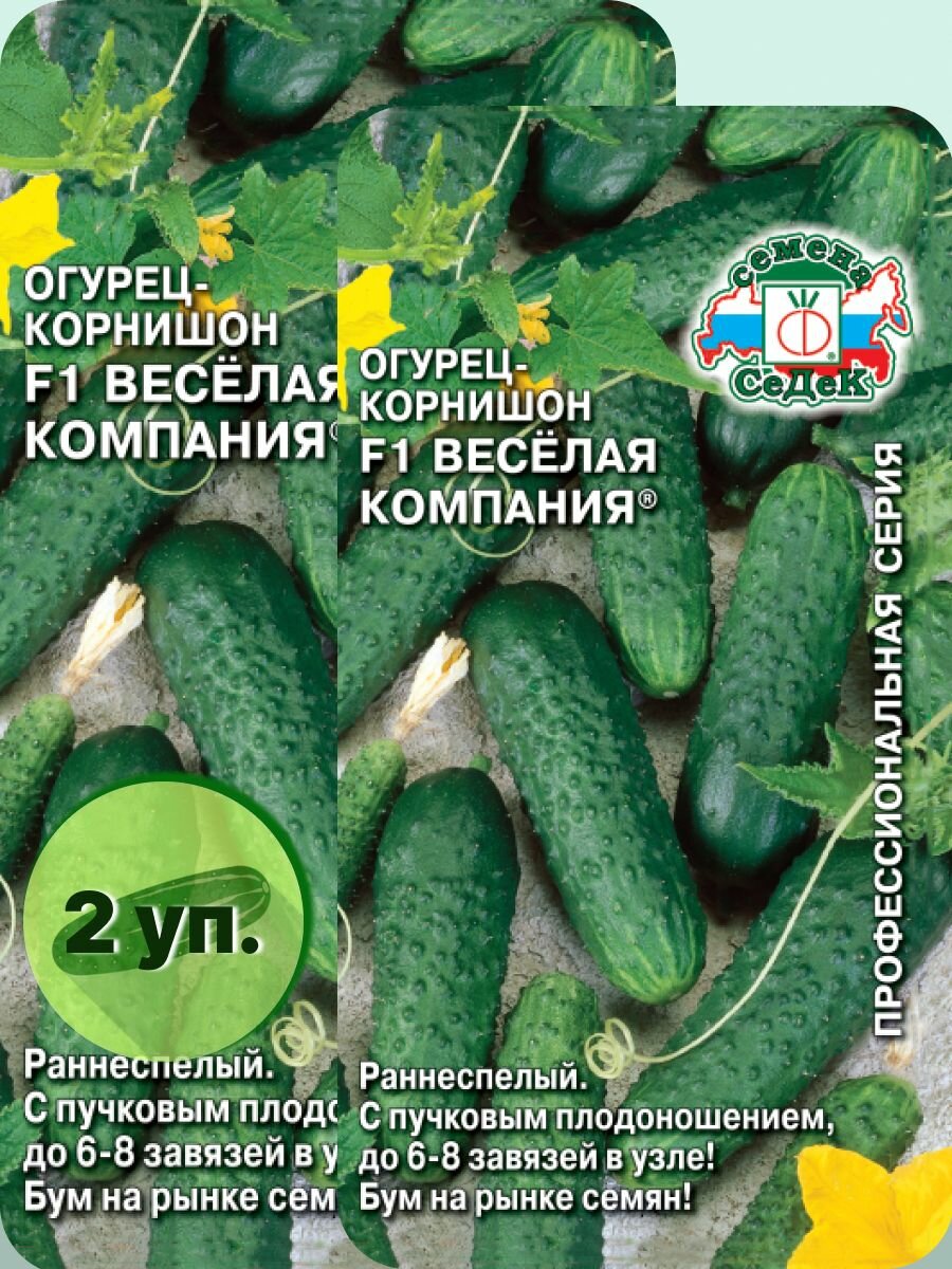 Семена огурец-корнишон "СеДеК" Весёлая компания F1 (2 упаковки.)
