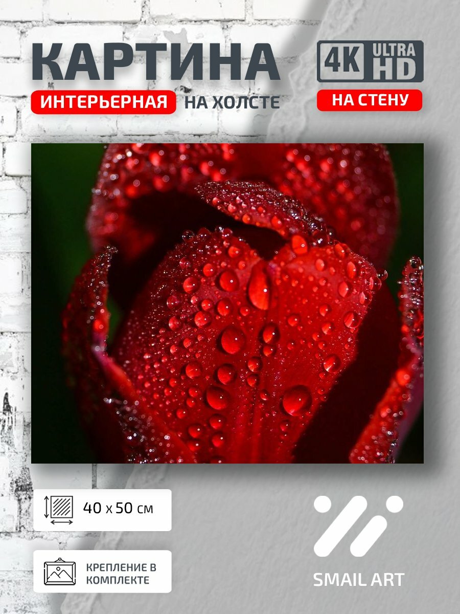 Картина на холсте интерьерная 40 на 50 на стену План Macro для офиса макро интерьер декор