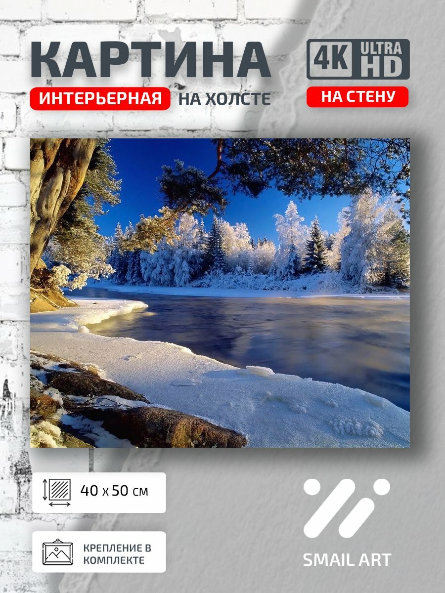 Картина на холсте интерьерная 40 на 50 на стену Зима Landscape для кабинета пейзаж интерьер