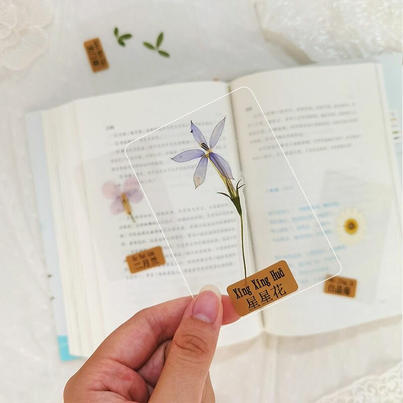 Настоящий четырехлистный клевер, амулет, приносит удачу, отгоняет невезение и сохраняет его сухим и постоянным.