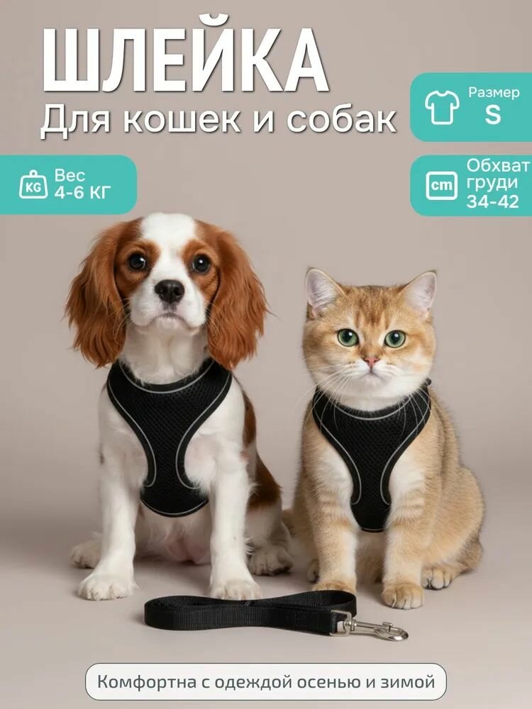 Шлейка для котят, кошек и собак мелких пород, обхват груди 34-42, с поводком, черный, размер S