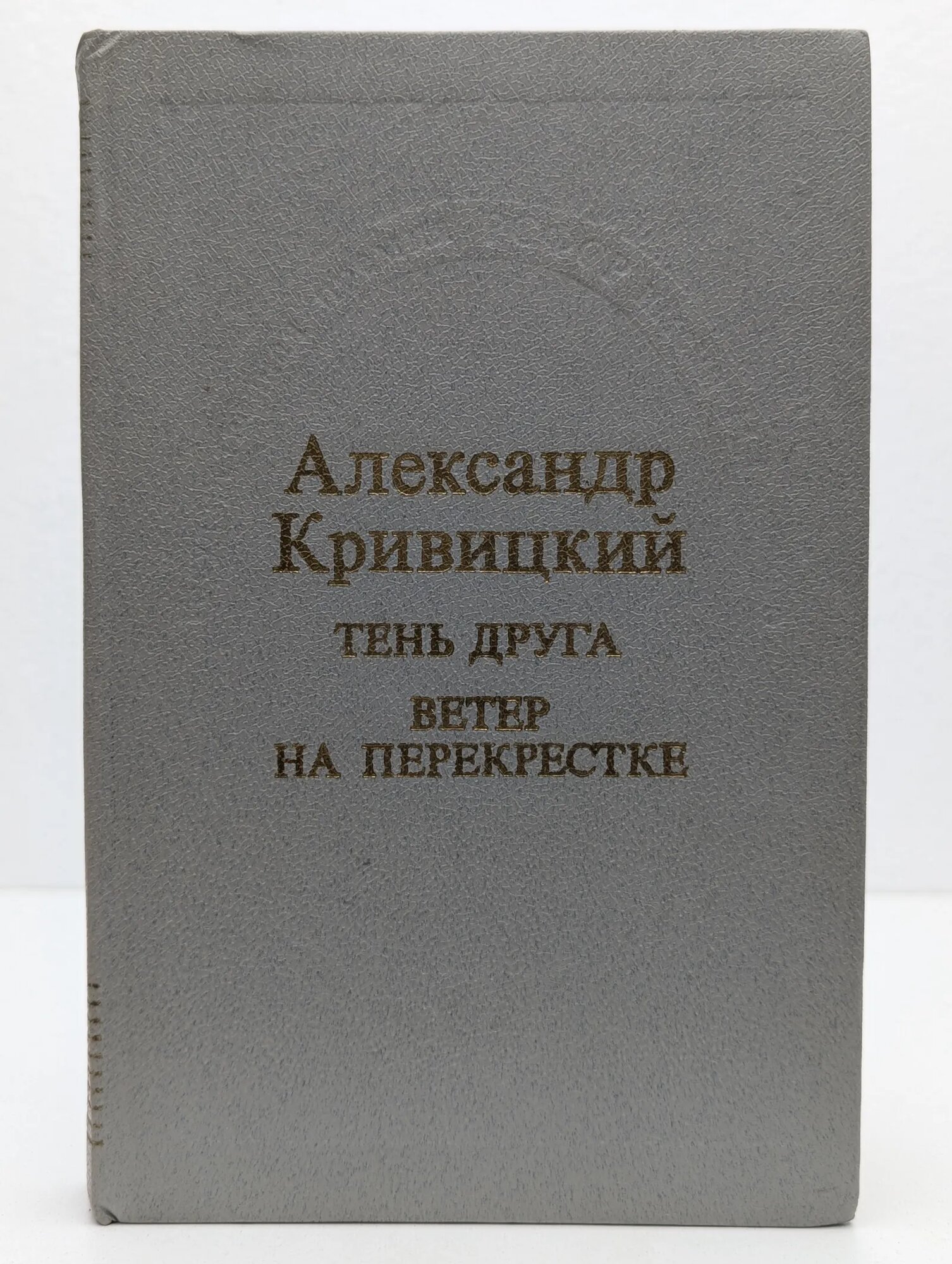 Тень друга. Ветер на перекрестке Кривицкий Александр Юрьевич 1984