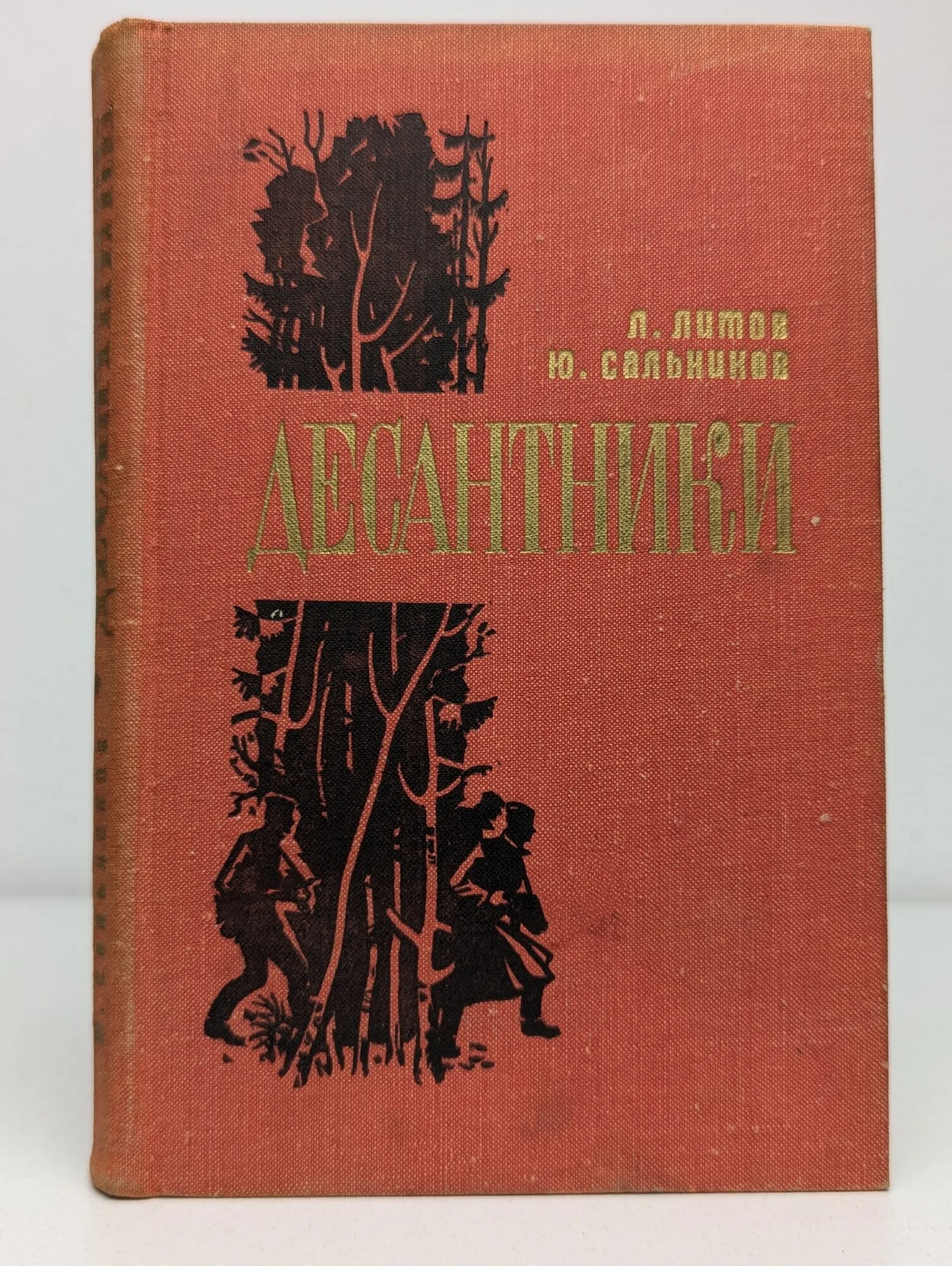 Десантники Сальников Юрий Васильевич, Литов Леонид Александрович 1972