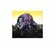 Диск Björk - Vulnicura (1 CD)