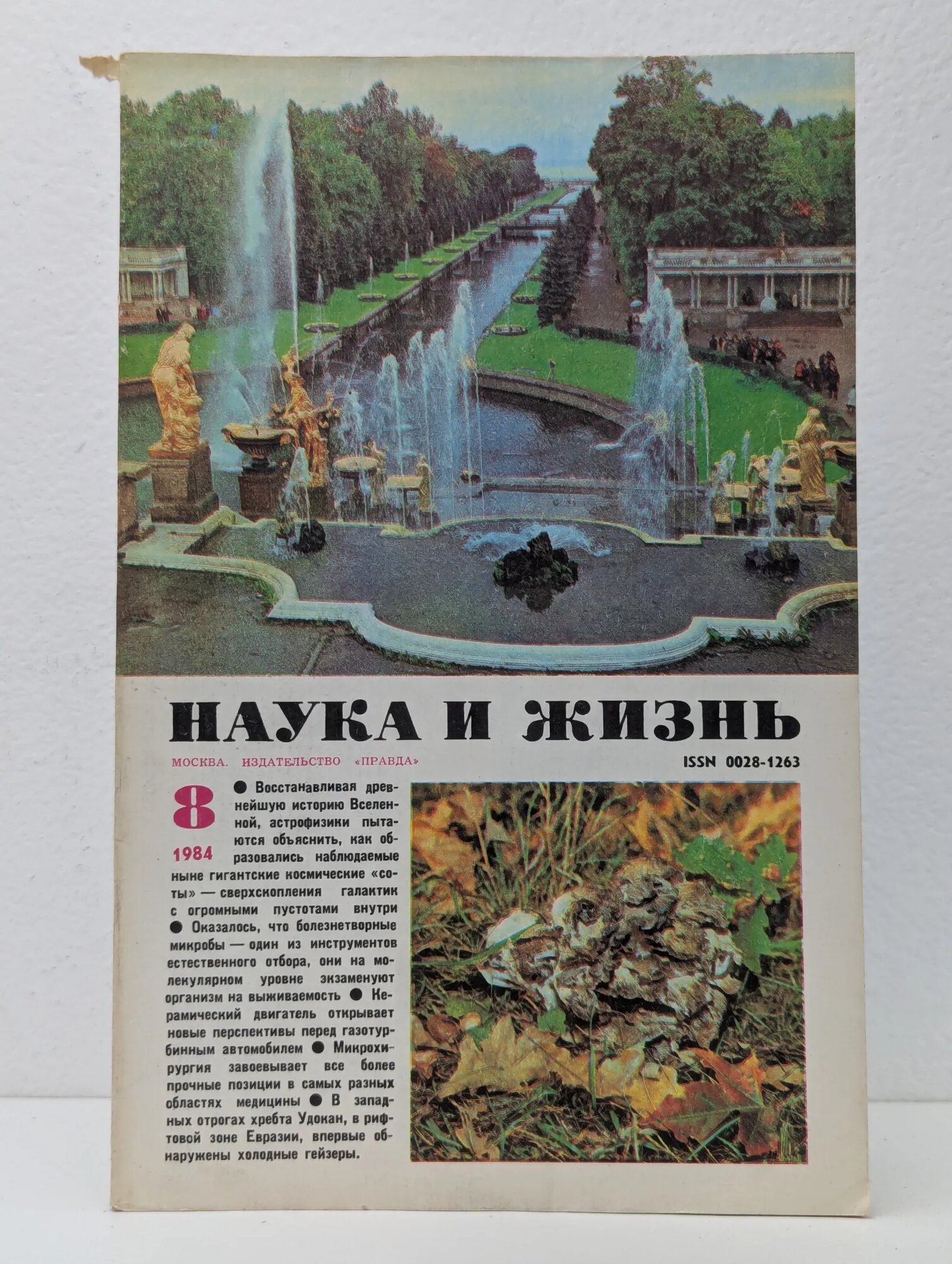Наука и жизнь. №8, 1984 Сборник 1984