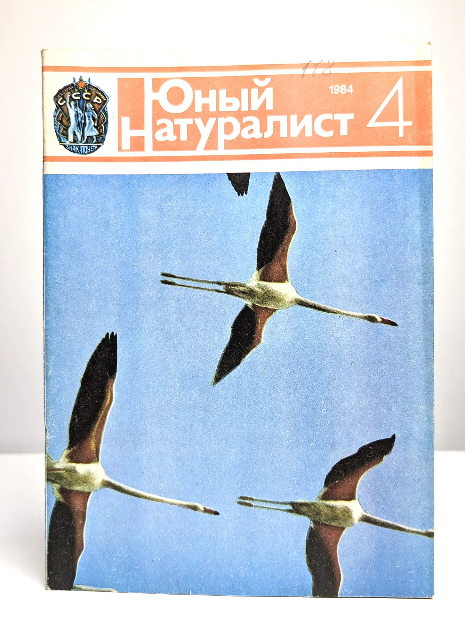 Юный натуралист. Выпуск № 4/1984 Сборник 1984