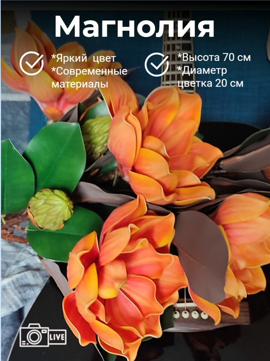 Магнолия рыжая