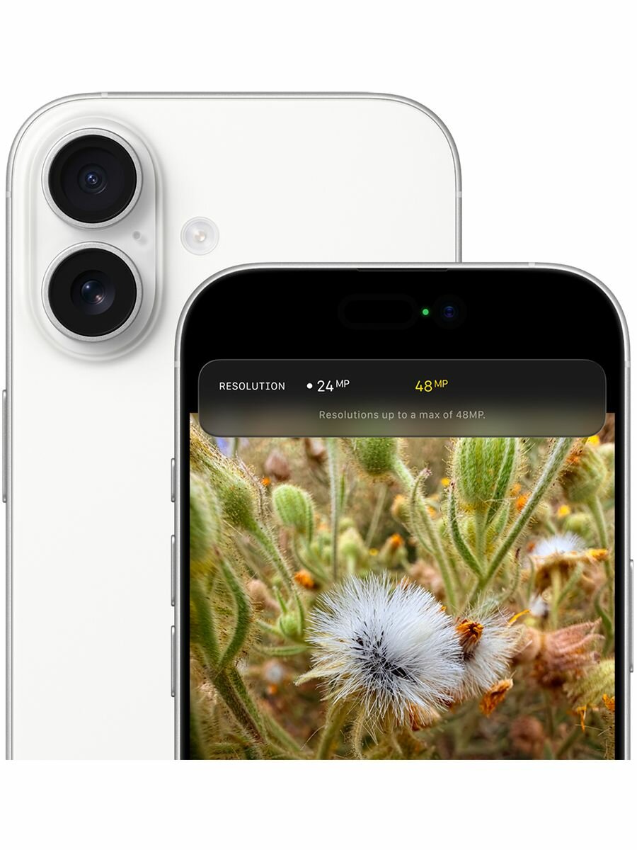 APPLE Смартфон iPhone 17 — фото 1