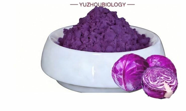 Экстракт фиолетовой капусты, антоциан 25%, 100 г