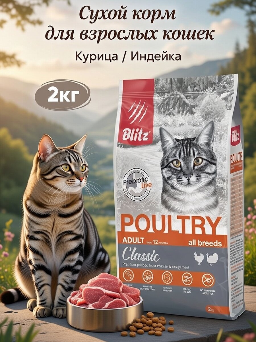 Сухой корм для взрослых кошек Blitz Poultry домашняя птица, 2 кг