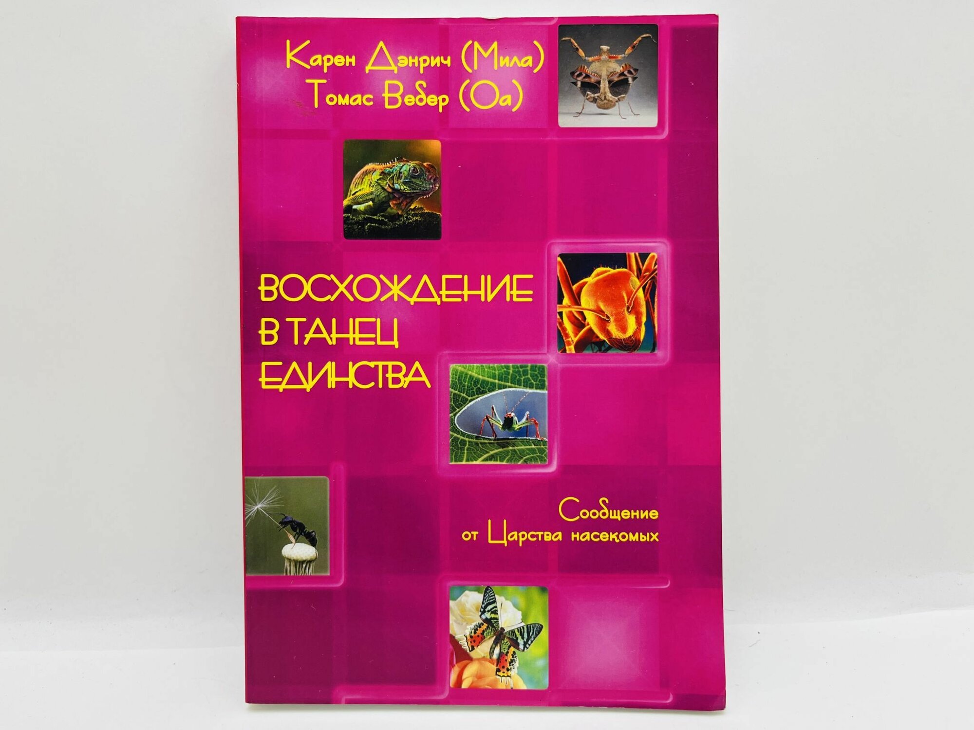 Восхождение в танец Единства. Сообщение от царства насекомых