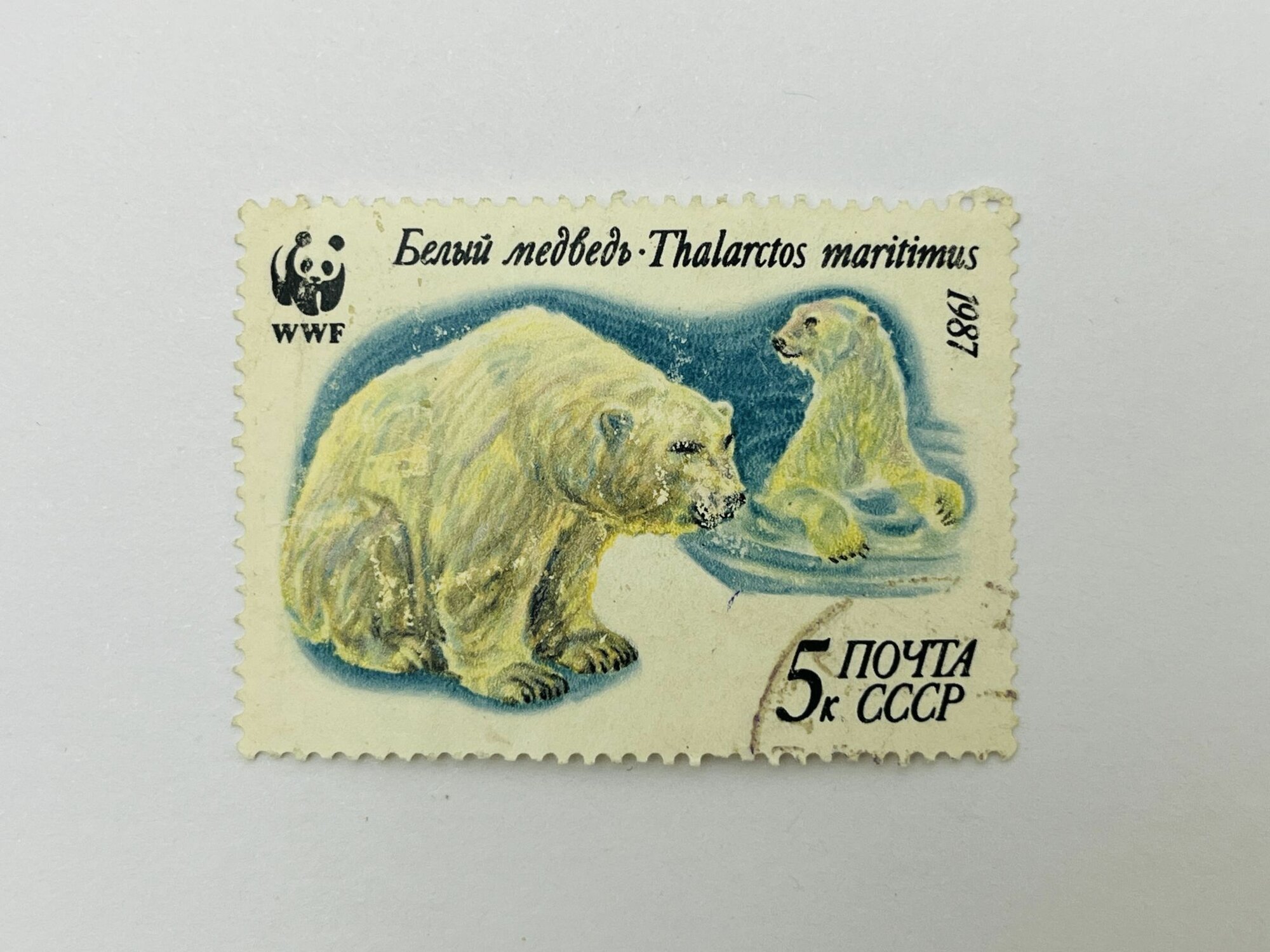 Белые медведи: Медведь в воде. Фауна. СССР. 1987. Загорский: 5746. Гашен