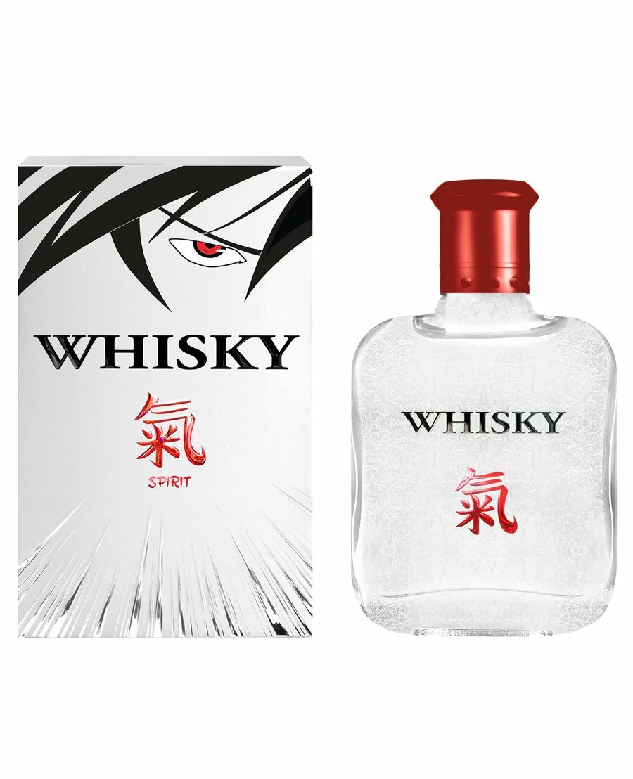 Туалетная вода EvaFlor WHISKY SPIRIT 100ml для мужчин