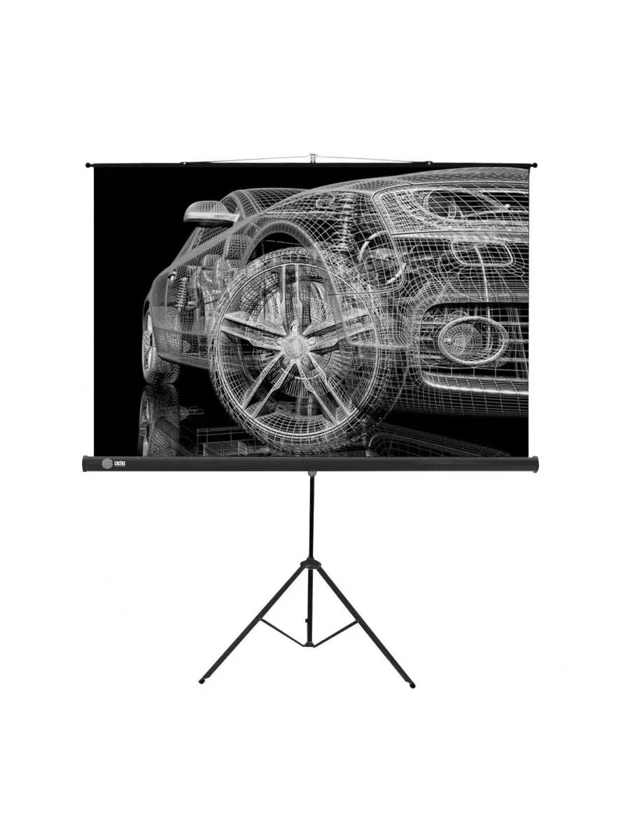 Экран для проектора Cactus Triscreen CS-PST, 100", 16:9, напольный