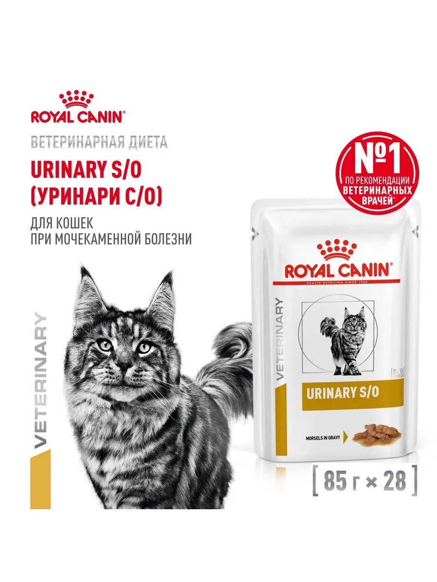 Влажный корм для кошек Royal Canin Urinary S/O, для лечения МКБ, с курицей, 28 шт. х 85 г (кусочки в соусе)