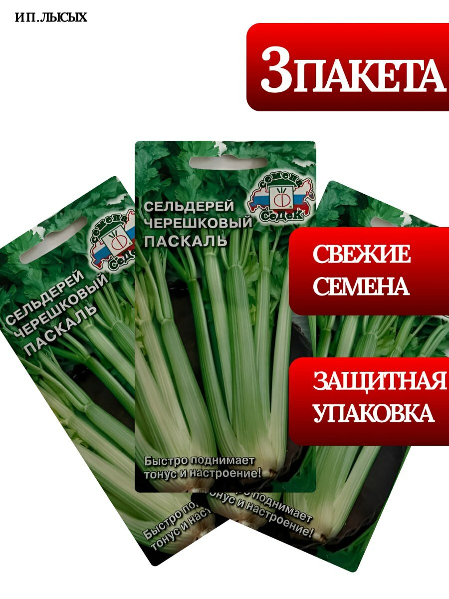 Семена Сельдерей "Паскаль"