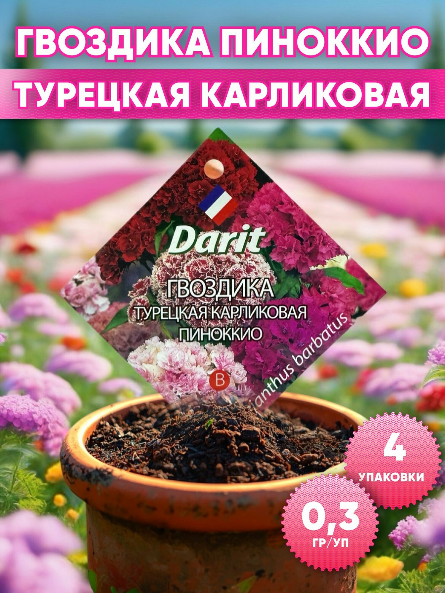 Семена Darit гвоздика Турецкая карликовая Пиноккио 0,3 г/уп, 4 упаковки