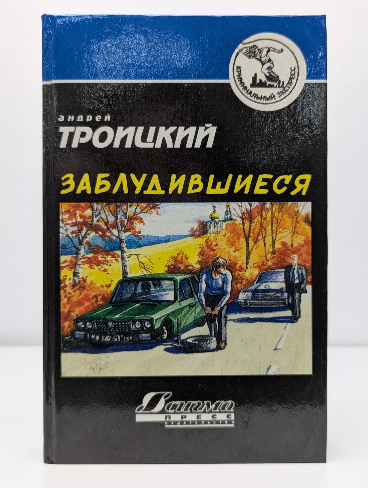 Криминальный экспресс. Заблудившиеся Троицкий Андрей Борисович 1994