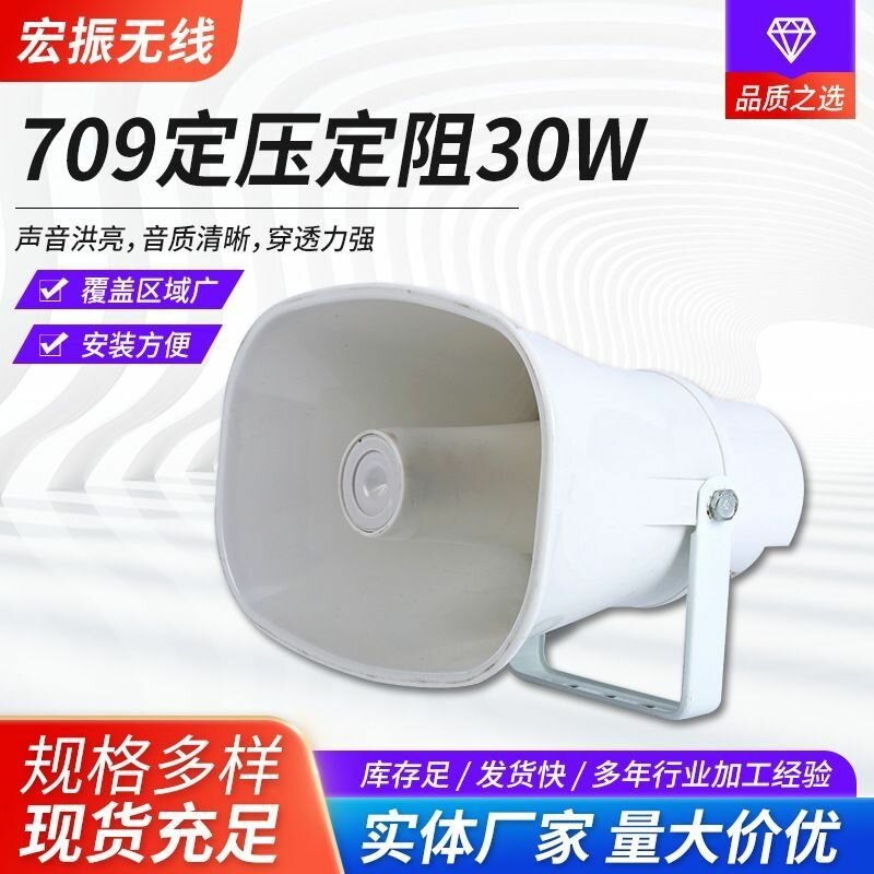 Уличный влагозащищенный рупорный громкоговоритель для IP-вещания, 30 Вт, питание 12-24В DC