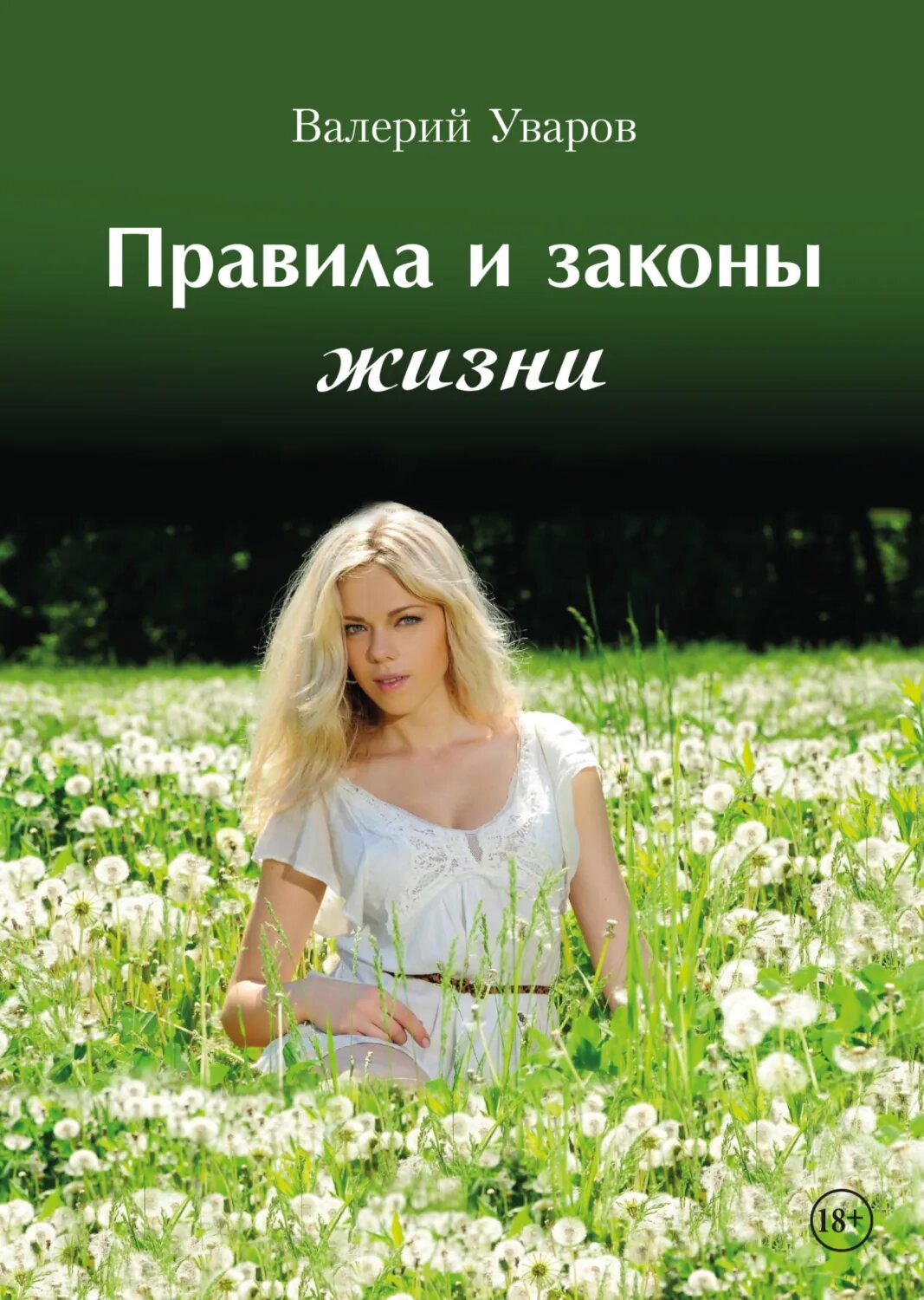 Правила и законы жизни [Цифровая книга]