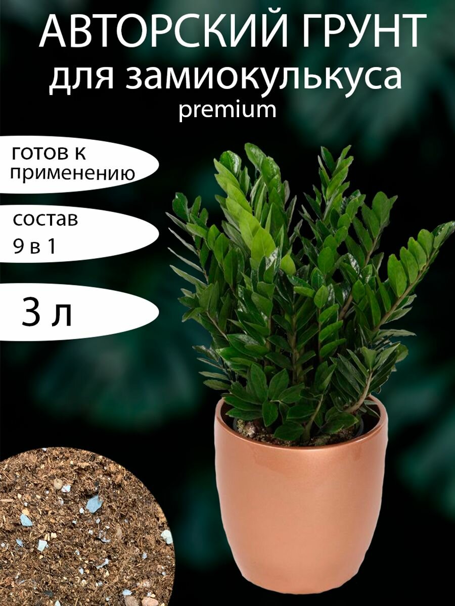 Грунт для Замиокулькаса премиум 3 литра