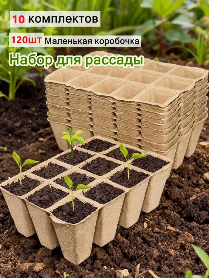 Кассета для рассады