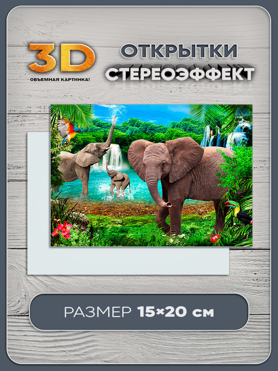 Стереооткрытка с 3D-эффектом "Слоны"