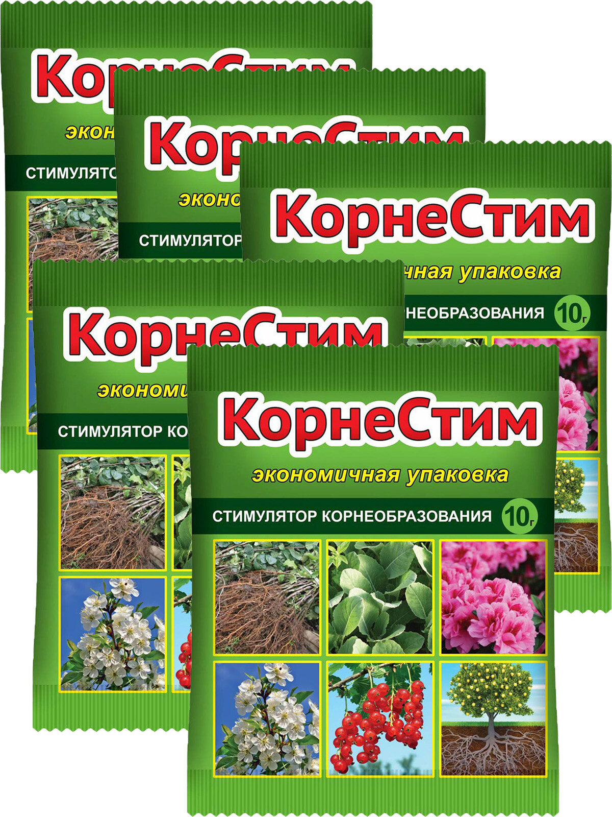КорнеСтим, стимулятор корнеобразования, для черенков, саженцев и рассады 10 г х 5 шт