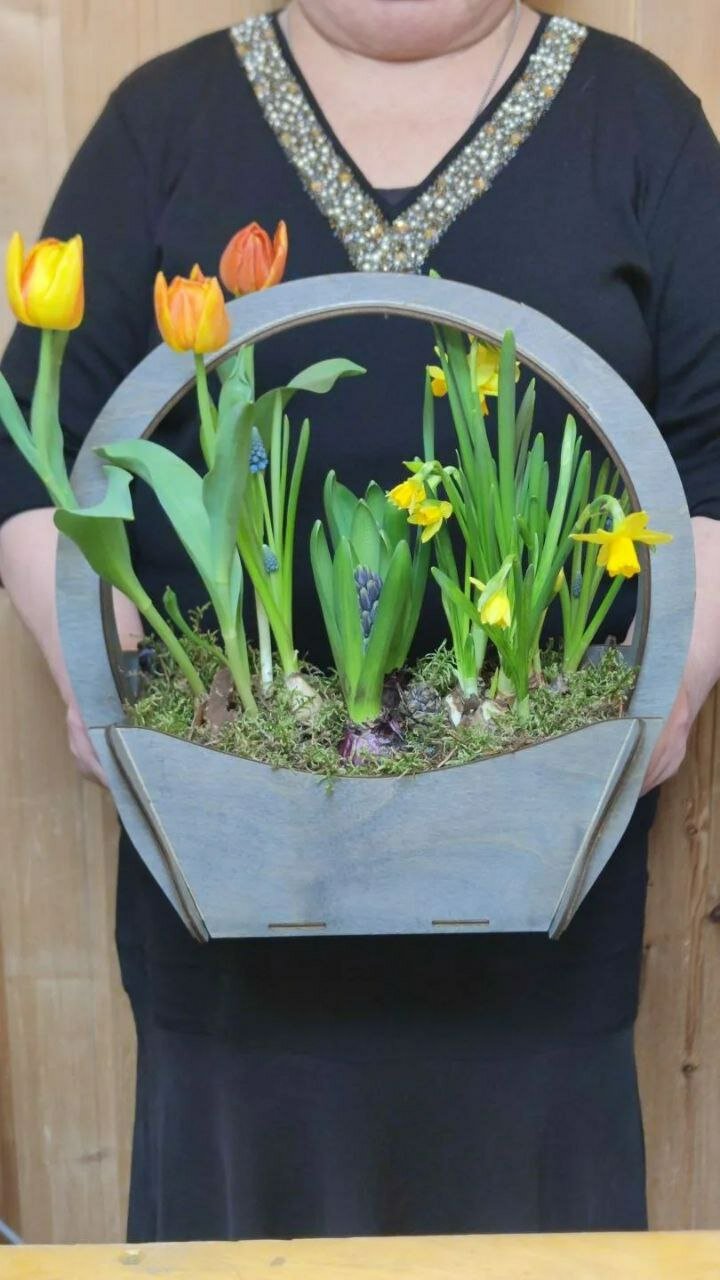 Весенний мини-садик с живыми луковичными цветами (тюльпаны, гиацинты, нарциссы) в деревянном кашпо (30х36 см)