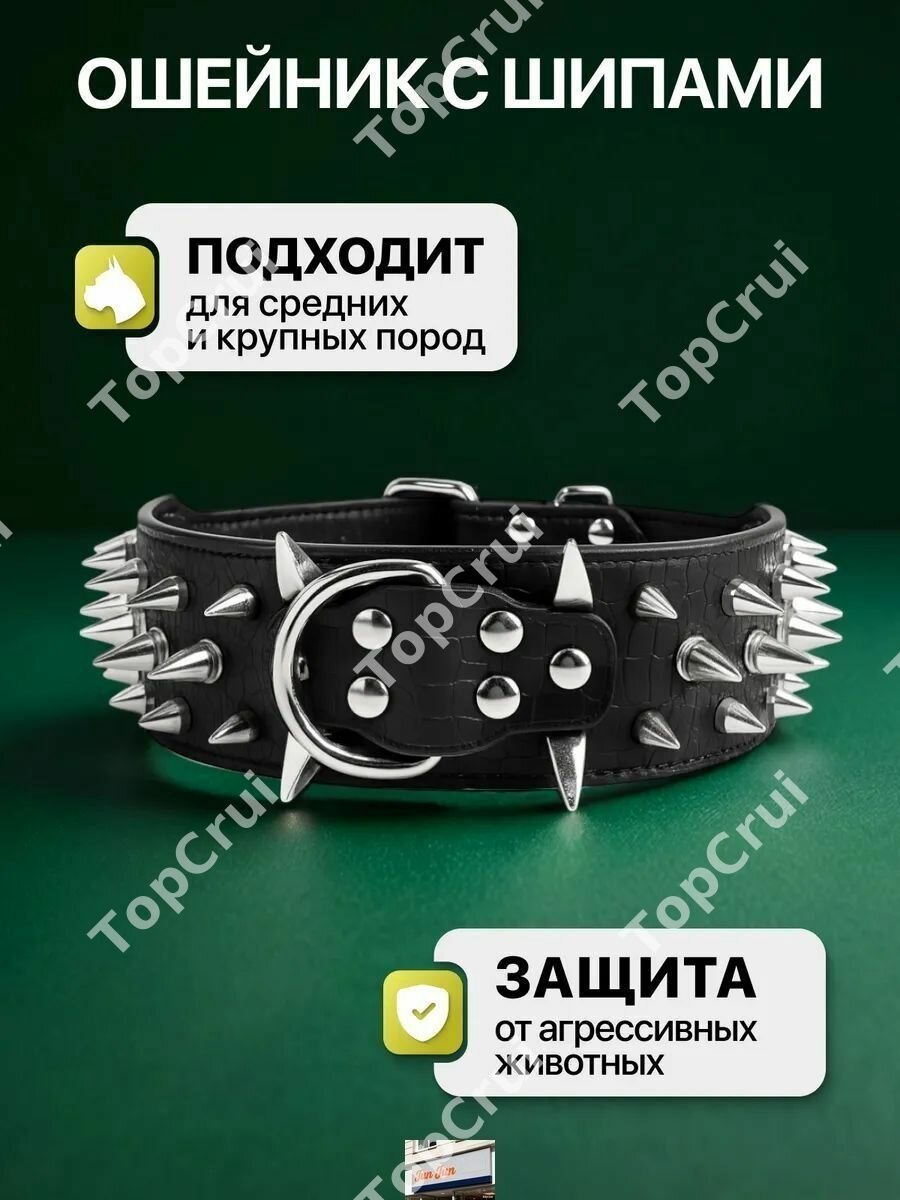 Эксклюзивный ошейник с шипами предназначен для крупных и средних собак