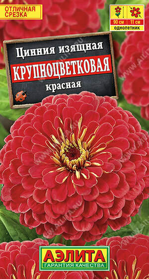 Семена аэлита "Цинния Крупноцветковая Красная", однолетние, цветы
