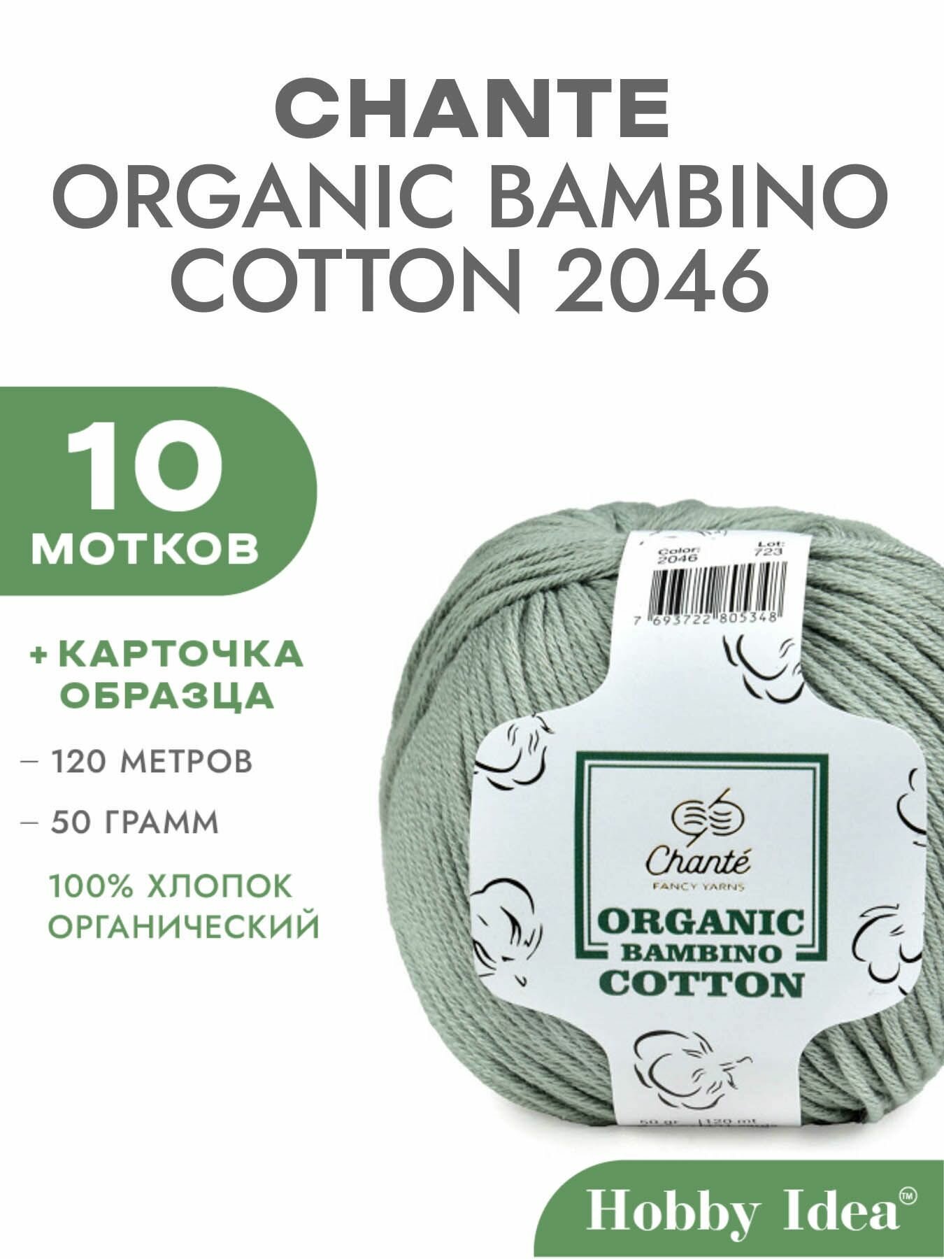 Пряжа Chante Organic Bambino Cotton 2046 Лагуна 10 мотков (Нитки хлопковые Шантэ Органик Бамбино Коттон)
