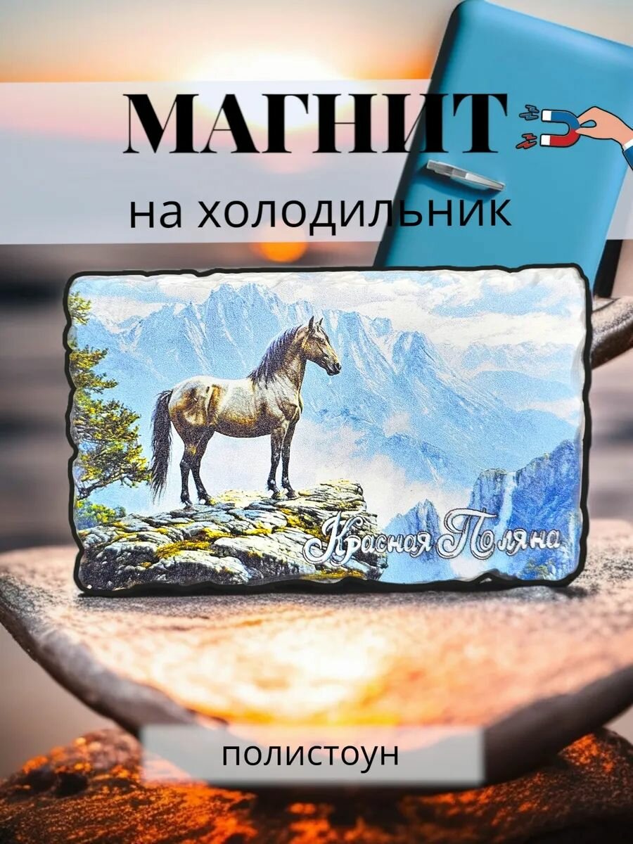 Магнит сноубордист Красная Поляна на холодильник