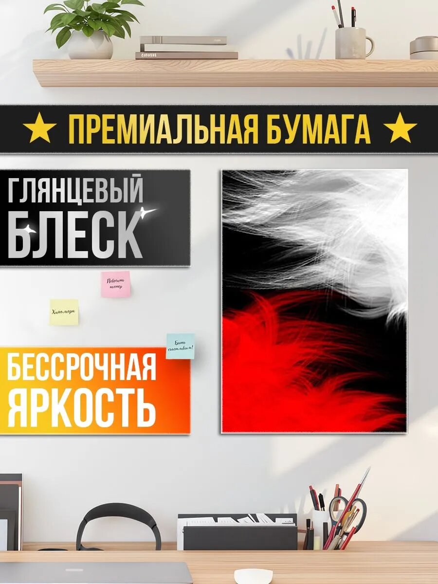 Постер на стену Перья — фото 1