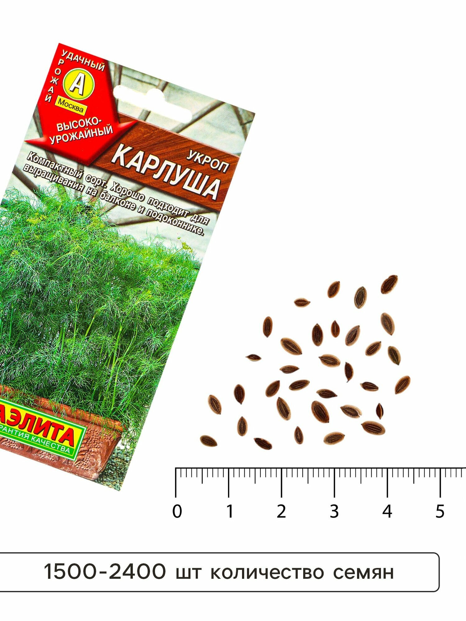 Семена Укроп «Карлуша» 3 г — фото 1