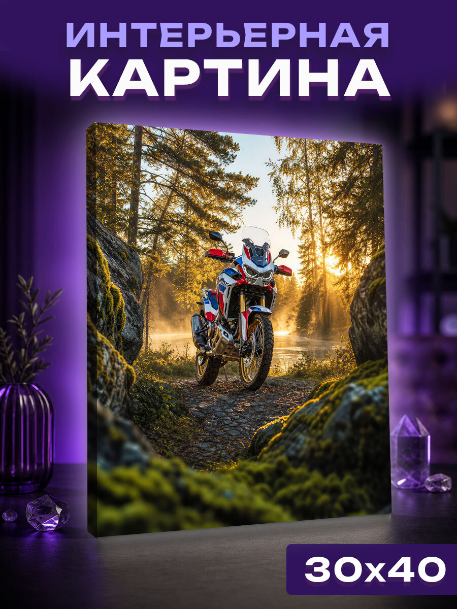 Интерьерная картина Дух Дакара в Карелии