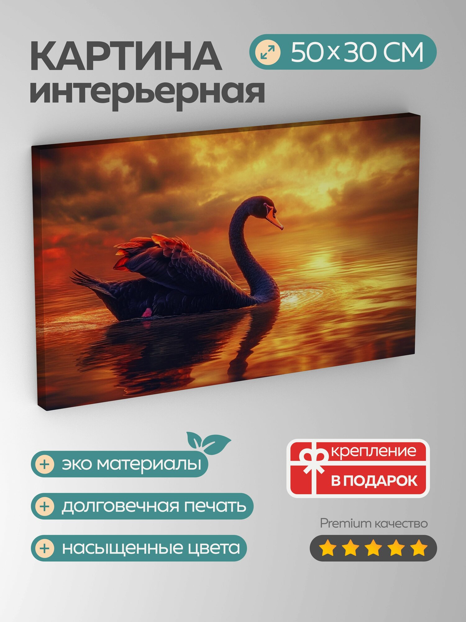 Картина на холсте интерьерная 50х30 см, Черный лебедь, озеро, закат, перья, отражение, грация, красота, спокойствие
