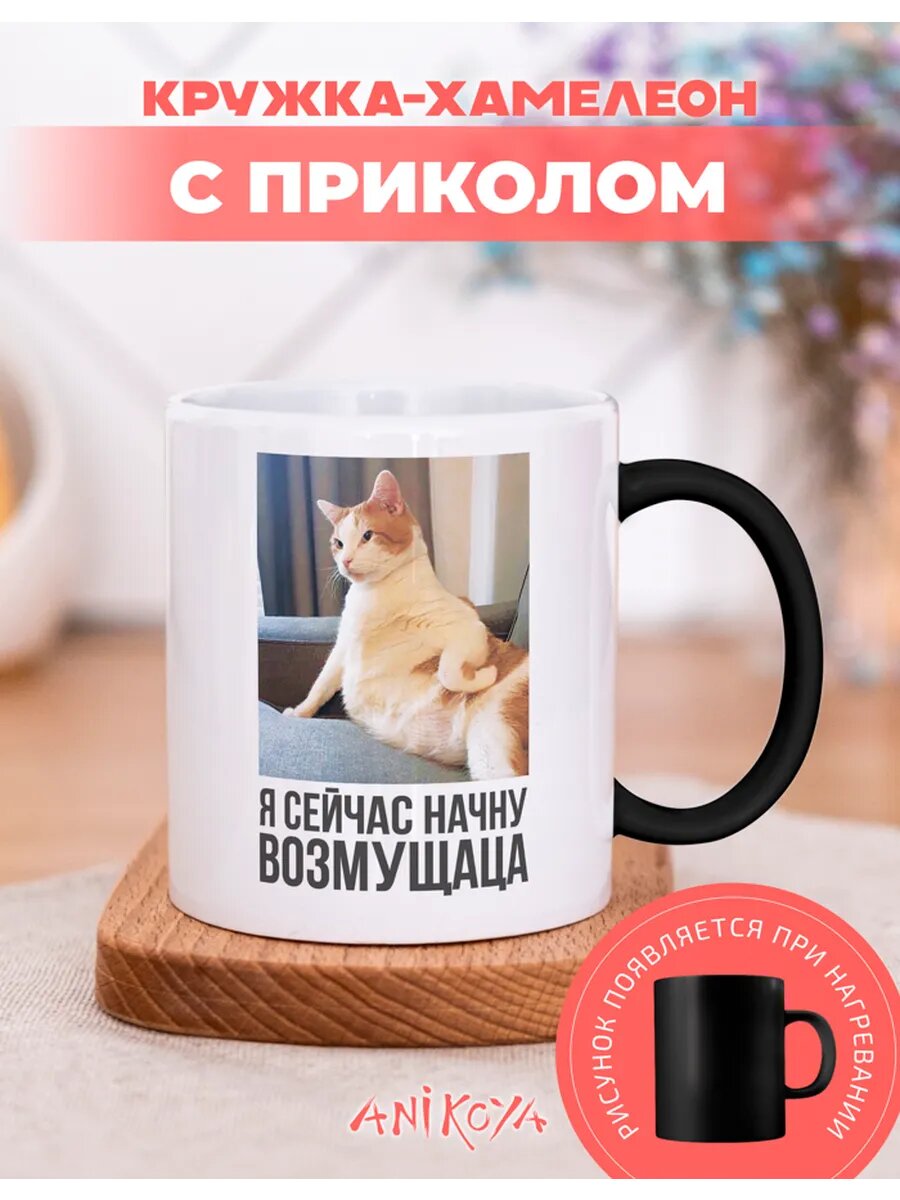 Кружка подарочная хамелеон мем кот
