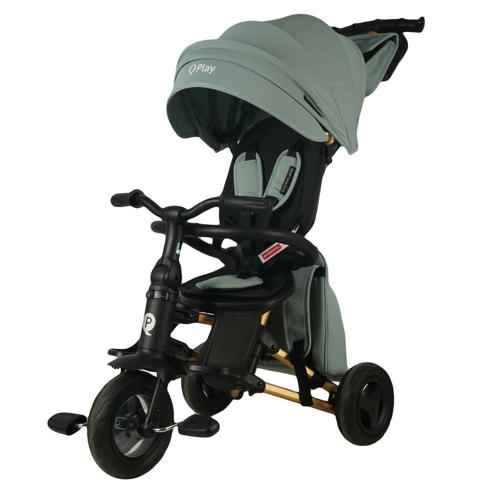 QPlay Sprinter SL, детский трехколесный велосипед от 10 месяцев до 3-4 лет, цвет Mint (Rub/Gold)