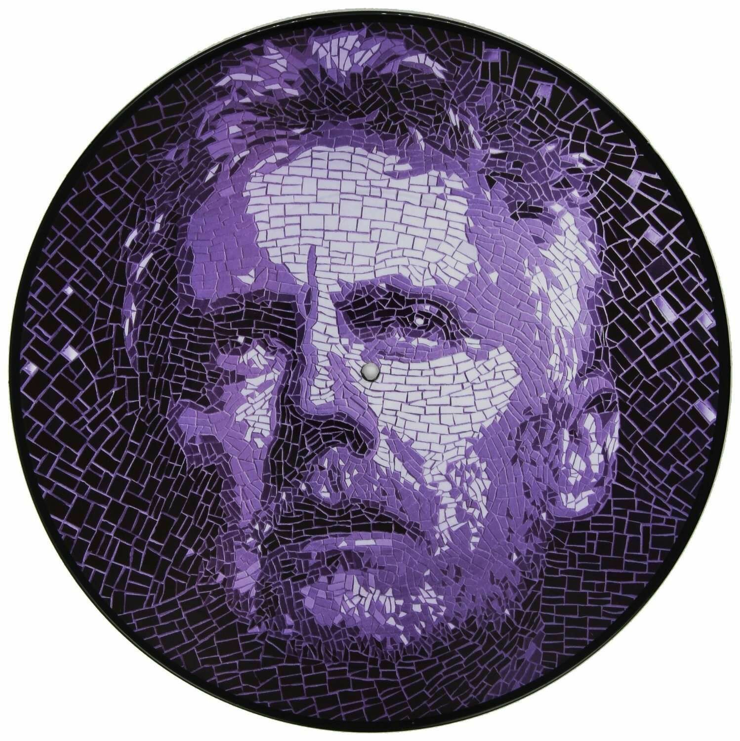 Виниловая пластинка Roger Taylor - Fun On Earth (180g) (Picture Disc) (2 LP)