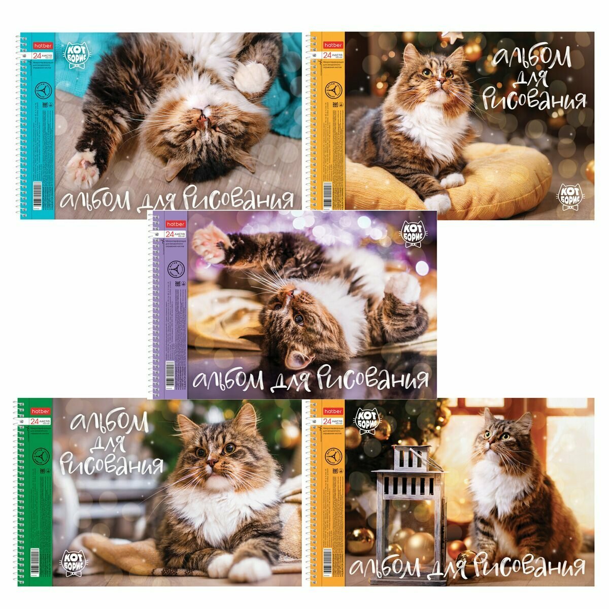 Альбом для рисования А4, 24л Hatber "Кот Борис" (100 г/кв. м, спираль, обложка картон, 198х300мм) (24А4Всп), 5шт.