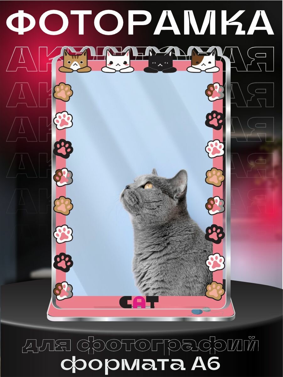 Акриловая фоторамка / Рамка для фото 16х11 Милые котики