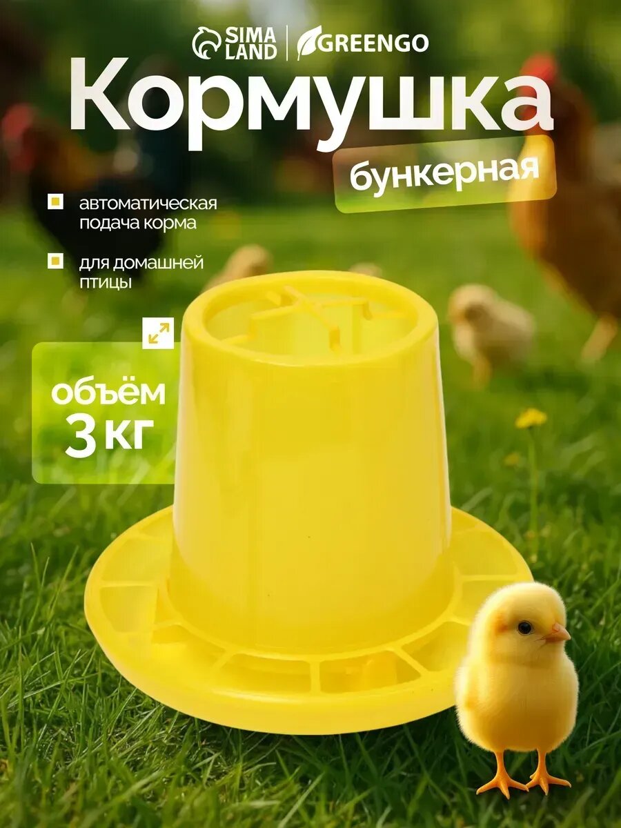 Кормушка для домашней птицы