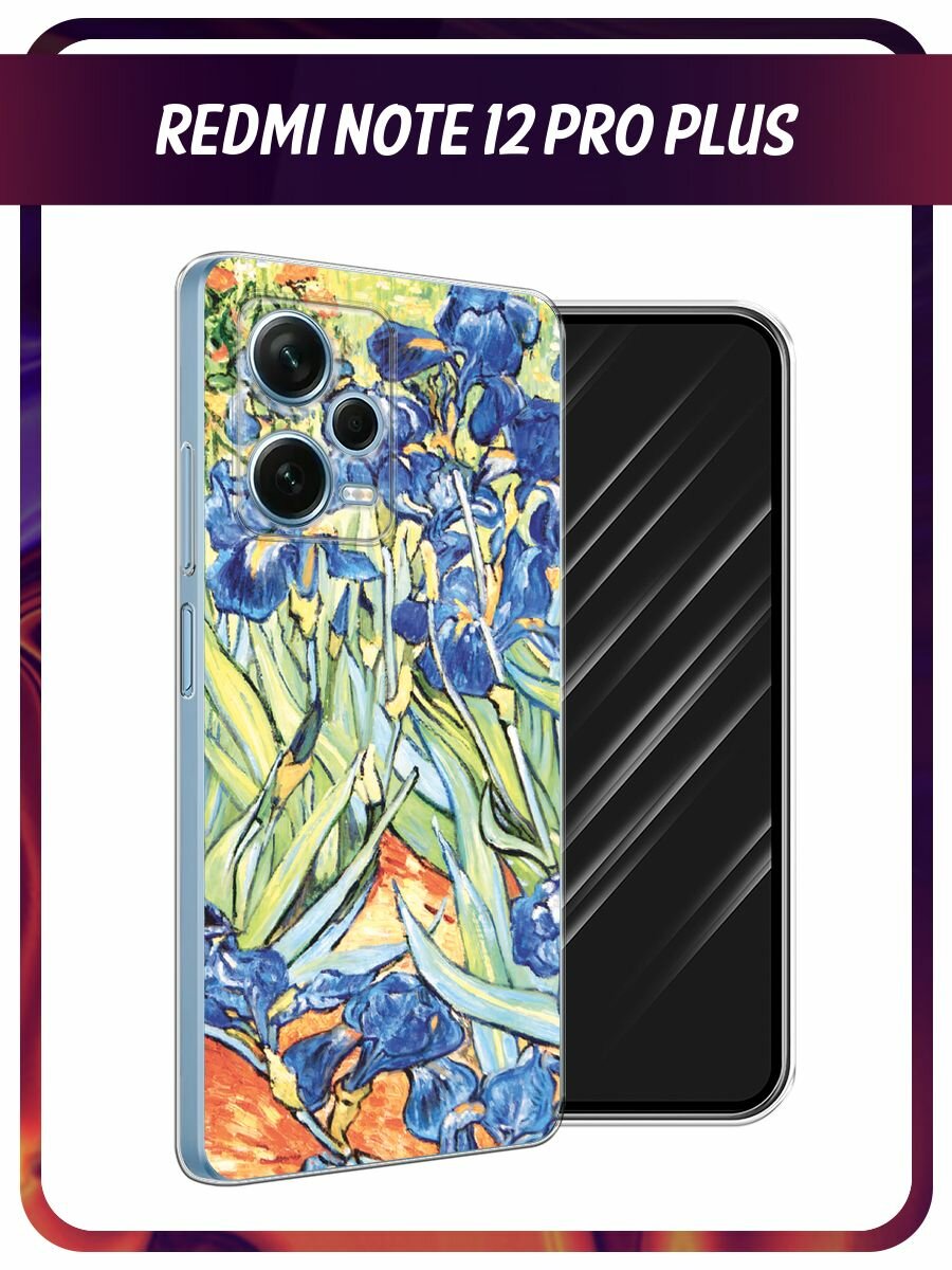 Чехол на Xiaomi Redmi Note 12 Pro Plus / Сяоми Редми Нот 12 Про Плюс с принтом "Ирисы Ван Гог"