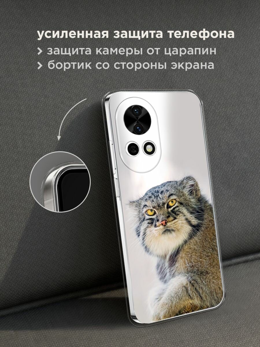 Чехол на Huawei Nova 12/Nova13 / Хуавей Нова 12/Нова 13 с принтом "Кот манул 1" — фото 1