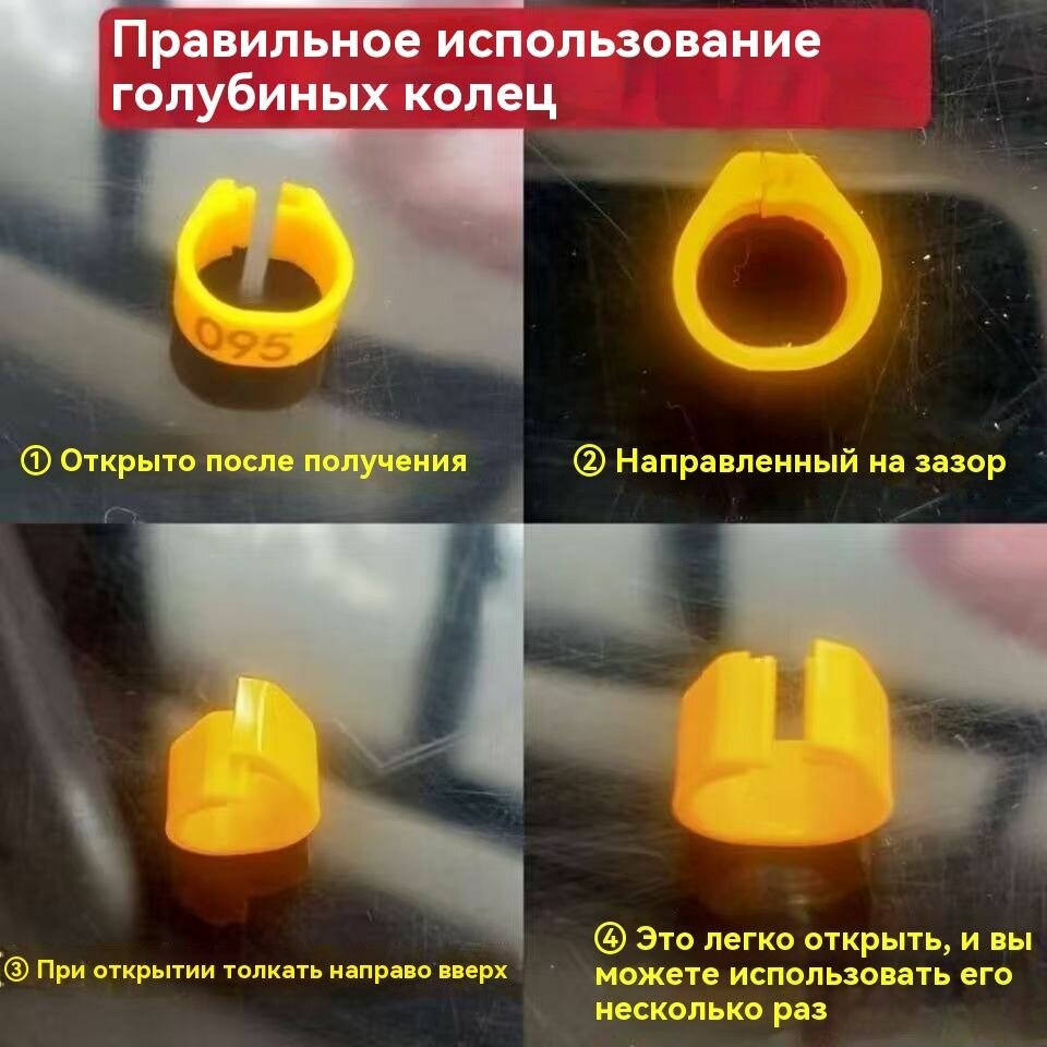 Кольцо для птицы — фото 1