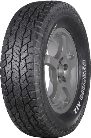 Летние автошины Hankook Dynapro AT2 RF11 265/75 R16 116T
