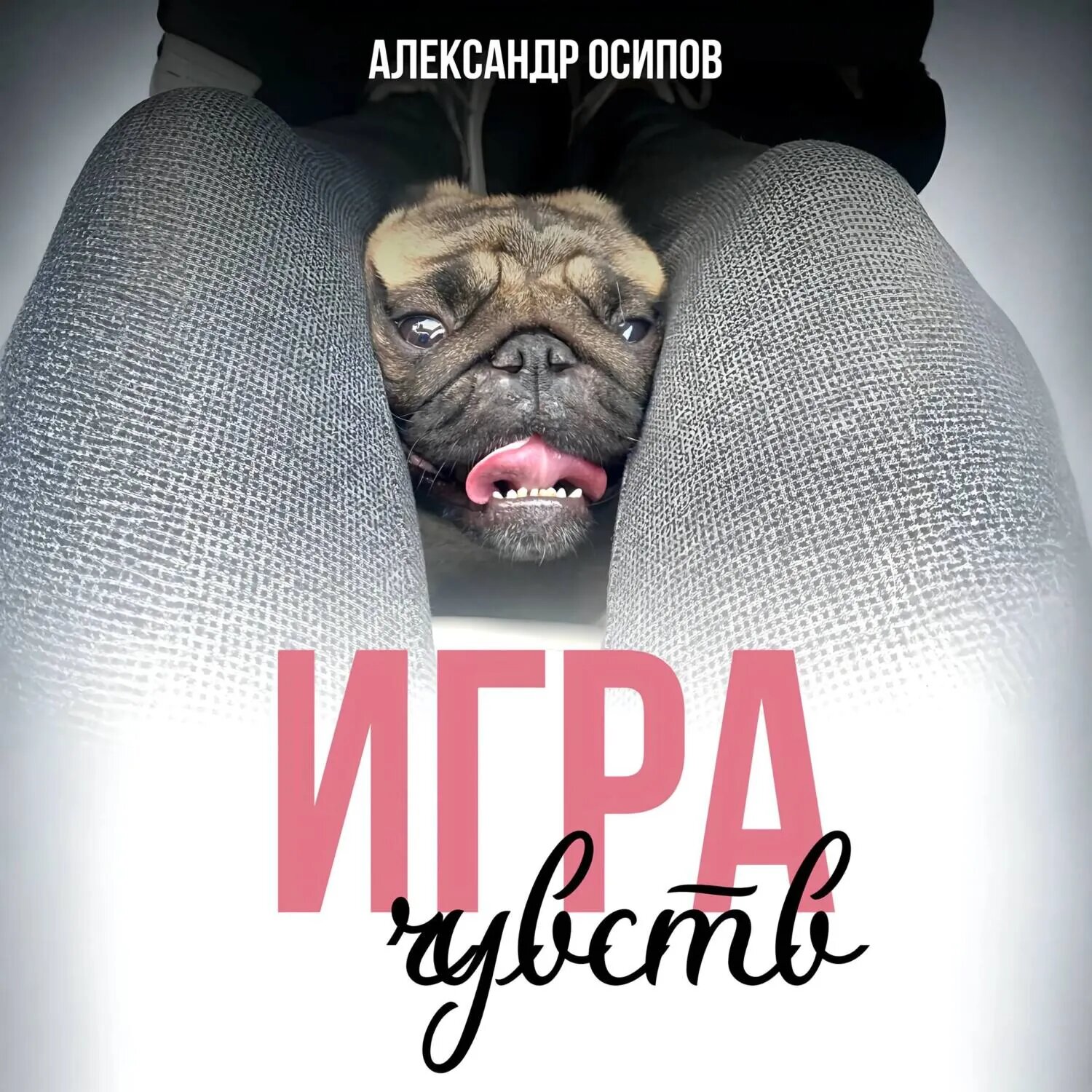 Игра чувств [Аудиокнига]